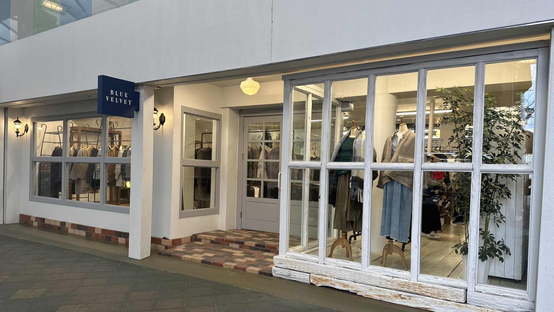 BLUE VELVET - GAROSHOP 有限会社ガロ 公式サイト